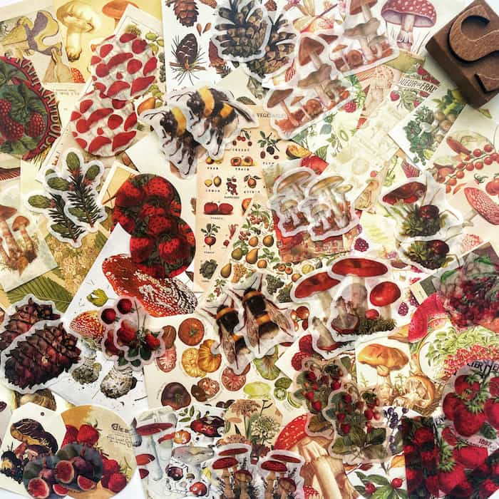 Botanical Cottagecore Craft Supplies - Nature-Inspired Designs | Soto ...